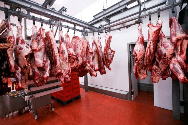 Rwanda unveils state-of-the-art slaughterhouse to boost livestock ...