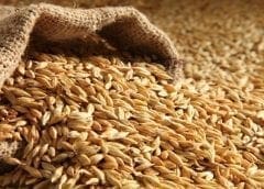 Uganda beverage maker Hariss International expands Oner Fruit Juice ...