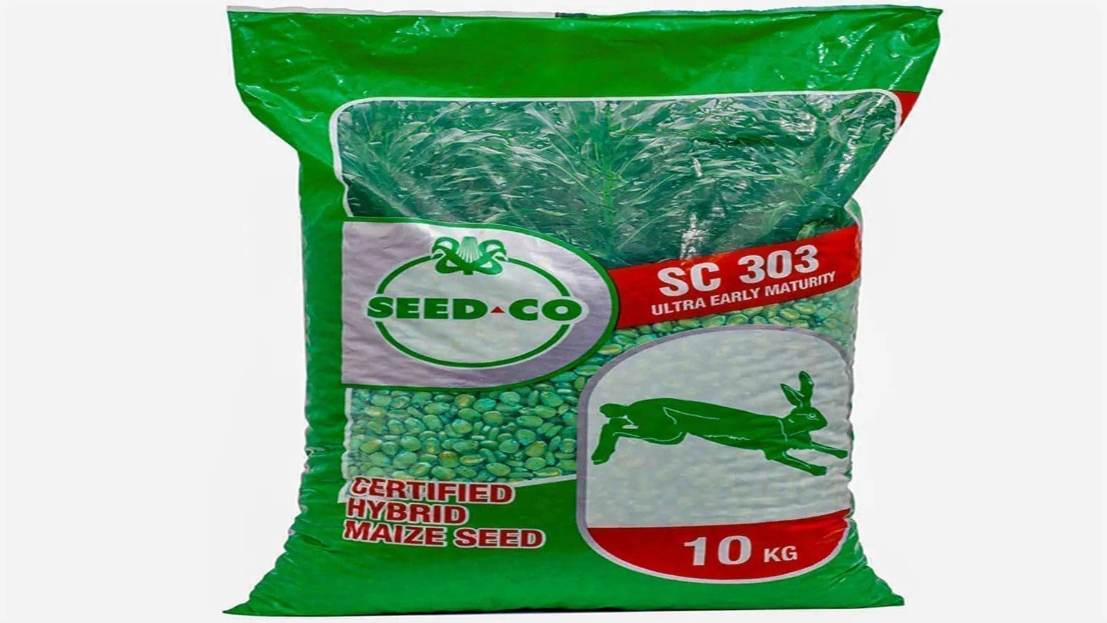 SeedCo maize | Food Business Middle East & Africa - No.1 Food ...