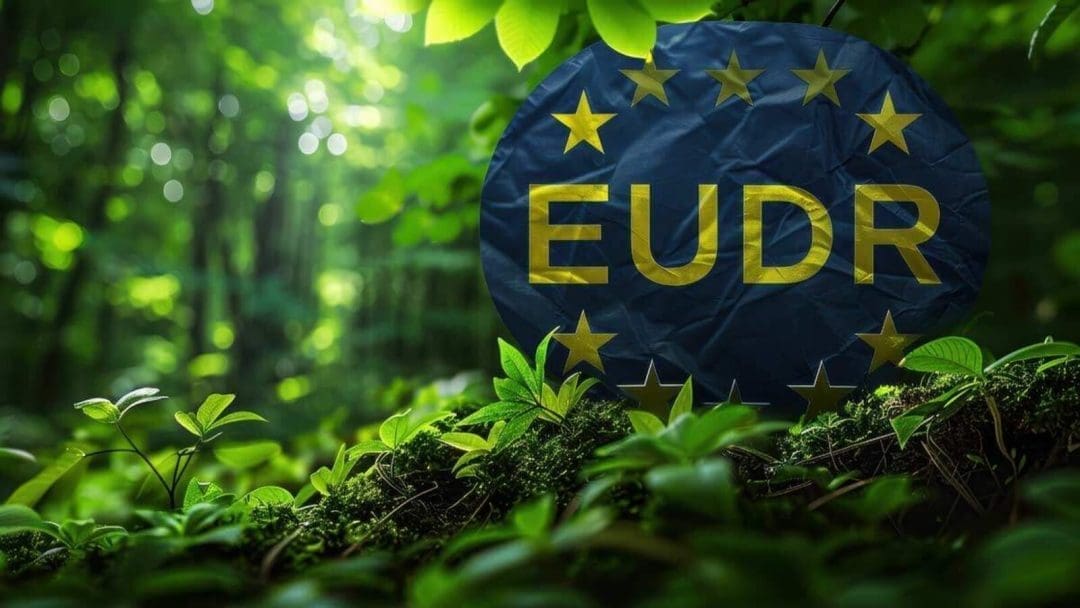 EU proposes further delay to deforestation regulation citing IT system ...