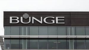 Bunge strikes strategic deal with IFF to expand its plant-based ...