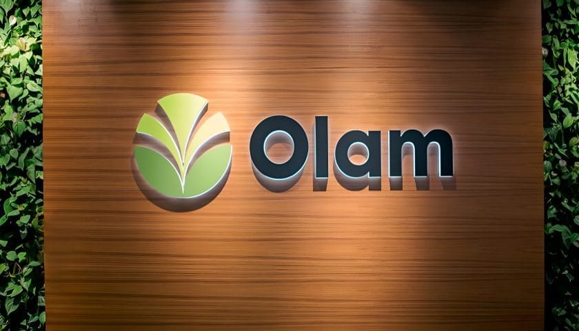 Olam Group posts strong H1 2025 results as food ingredients arm drives ...