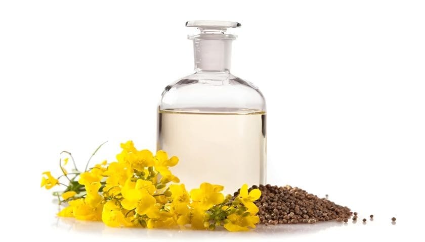 Burcon NutraScience announces first commercial sales of Canola Protein ...