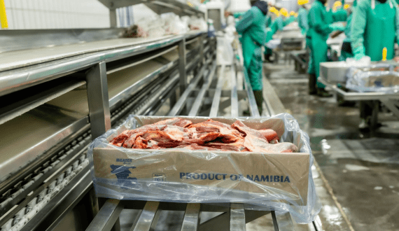 Egypt launches first integrated recycling system for aseptic beverage ...