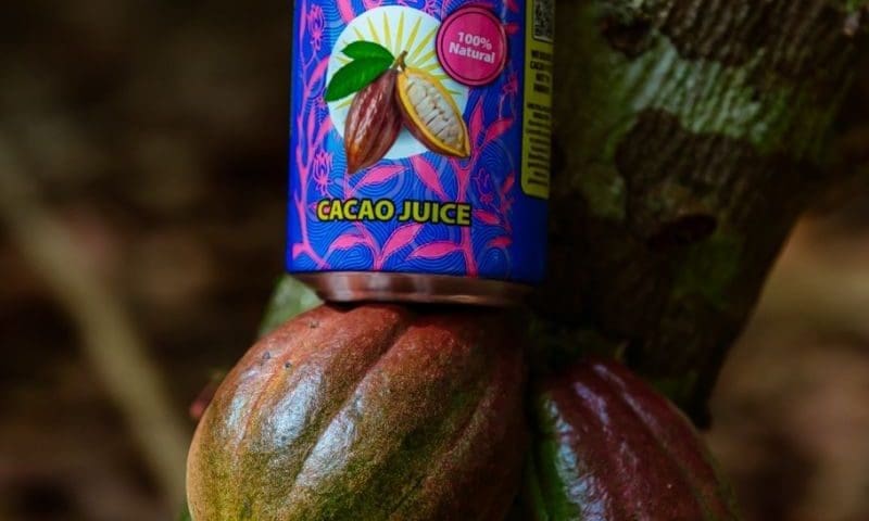 Kumasi Drinks launches locally produced cacao juice in Ivory Coast ...