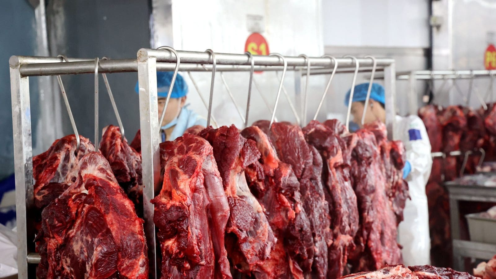 China imposes 55% tariff on beef imports exceeding quotas | Food ...