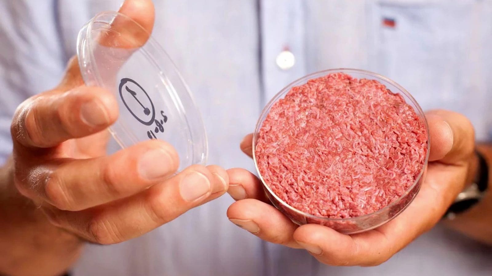 TissenBioFarm produces cultivated meat matching real meat cell density ...