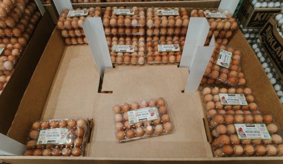 USDA launches The Office of Seafood | Food Business Middle East ...