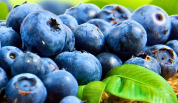 Saudi grower Dava Agricultural announces Taif mega-project targets ...