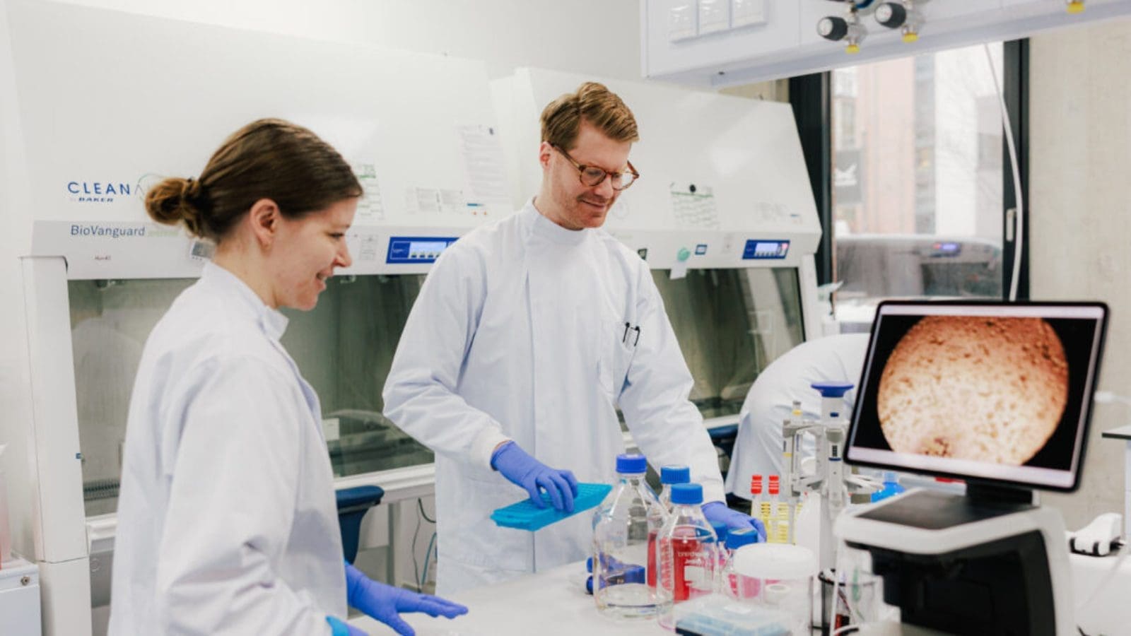 Germany sets out biotechnology plan focused on cultivated meat ...